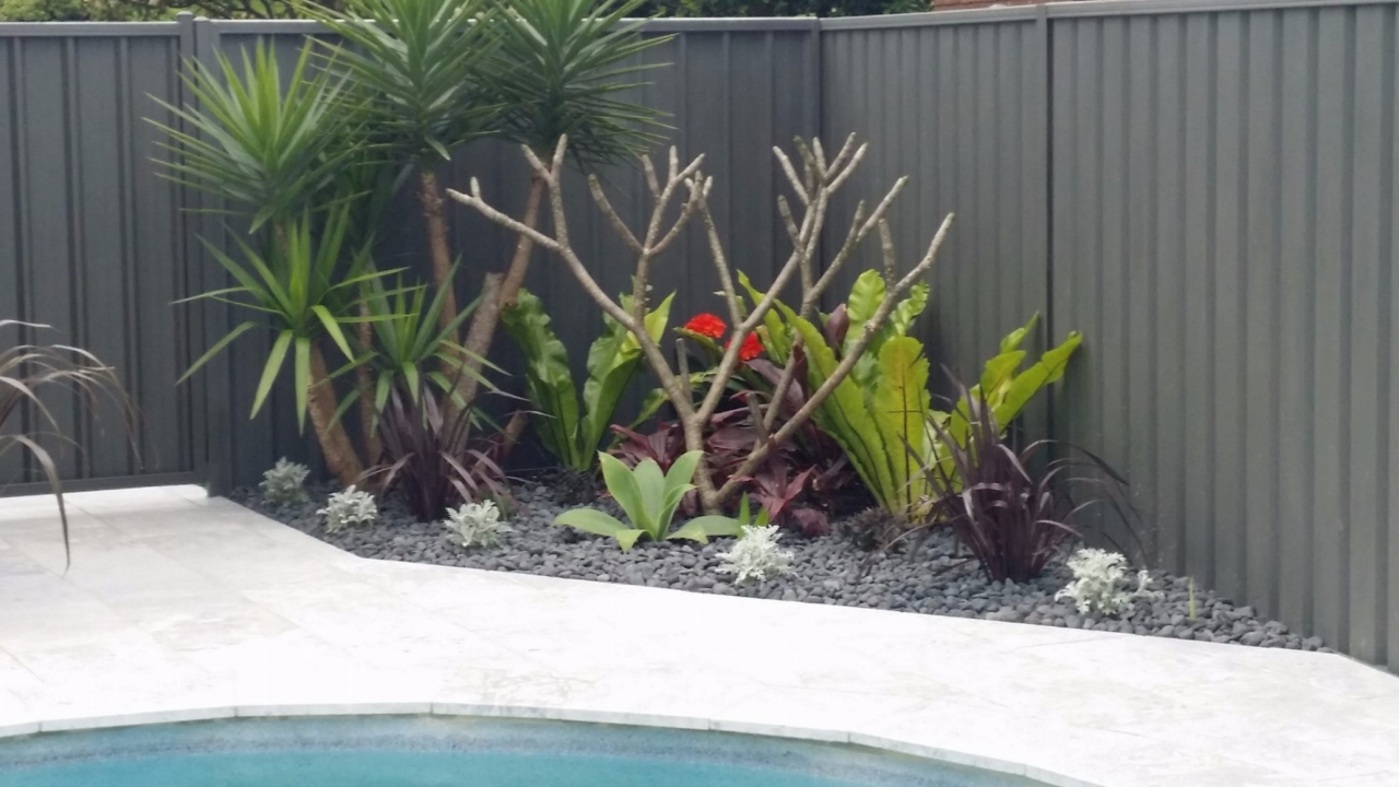 Gallery - Pebbles Rock and Stone