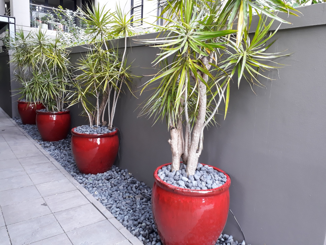 Gallery - Pebbles Rock and Stone