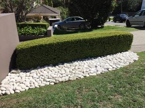 Gallery - Pebbles Rock and Stone