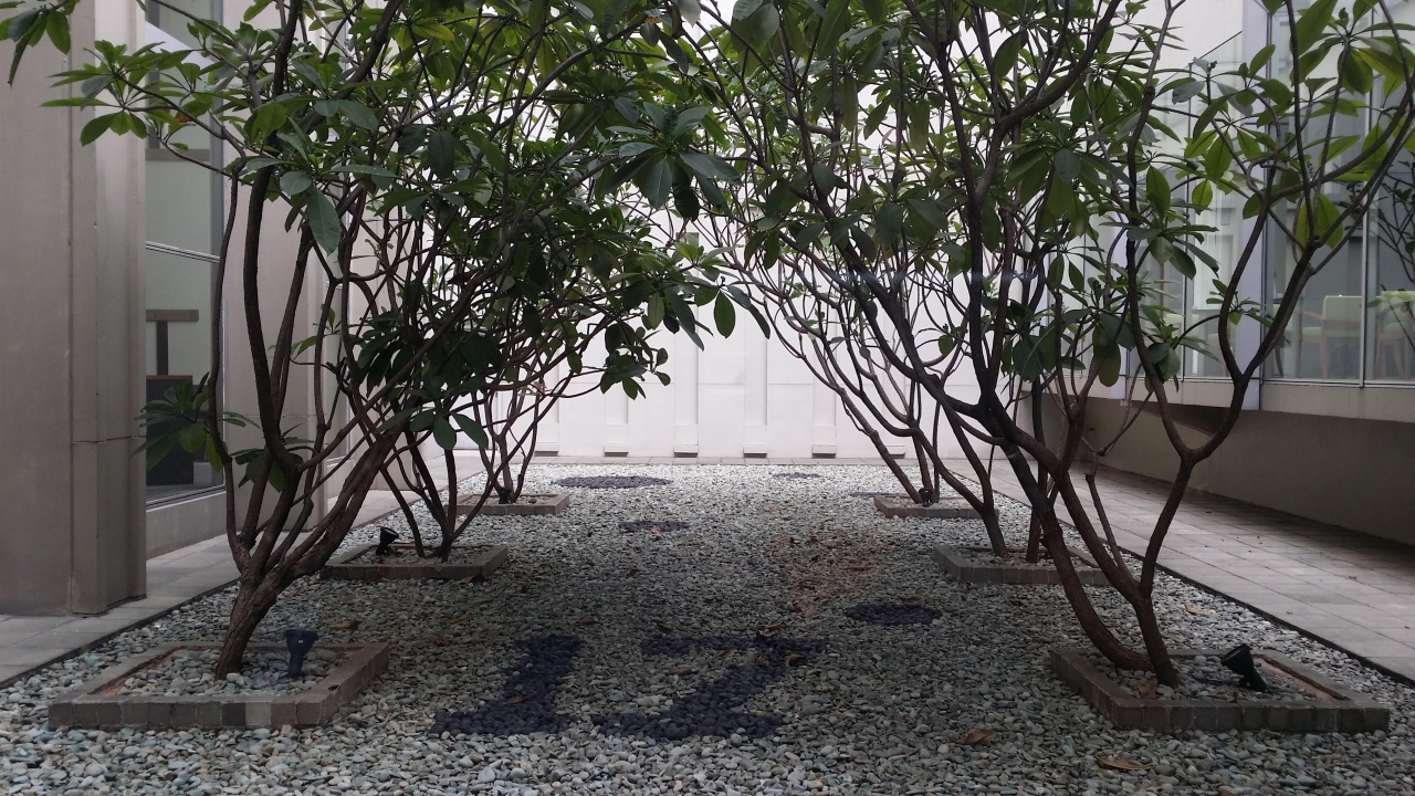 Gallery - Pebbles Rock and Stone